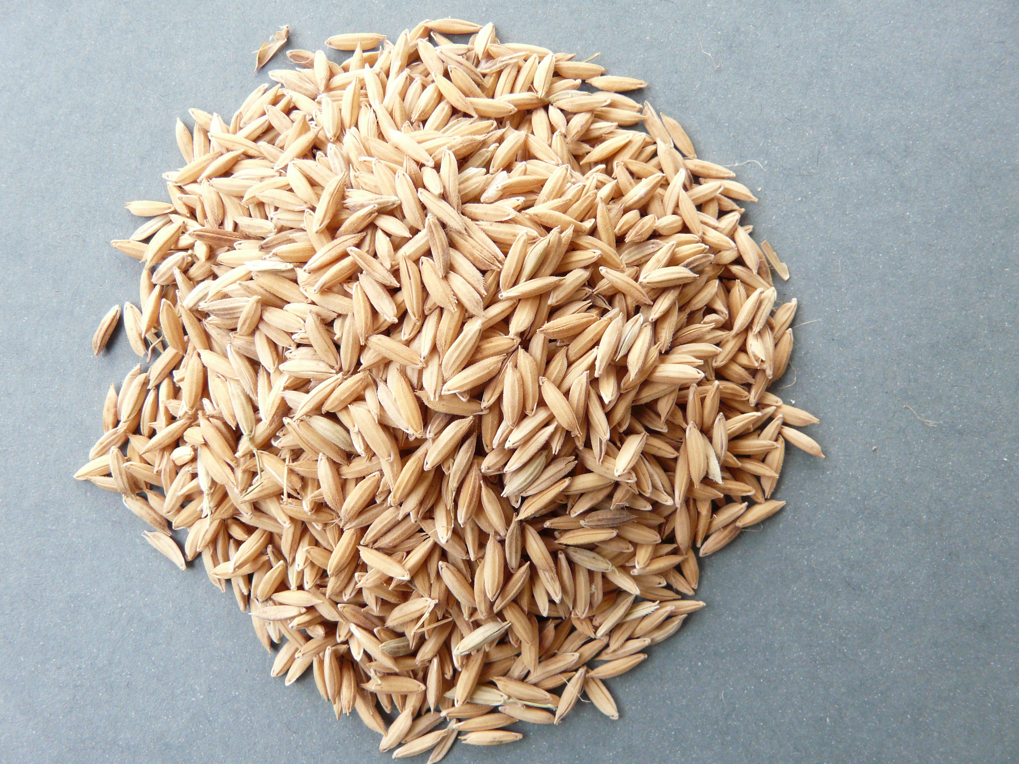 Crop Details Gujarat State Seeds Corporation Ltd
